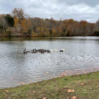 General Butler State Resort Park - Carrollton, Kentucky - RV LIFE ...
